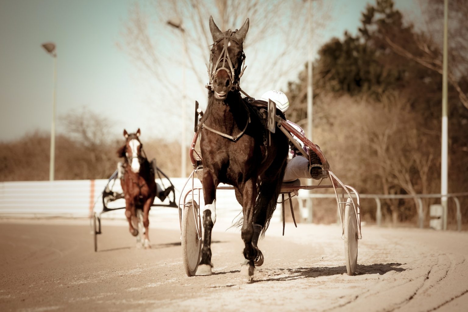 Andelsspel på ATG Tillsammans - svensktravsport.net